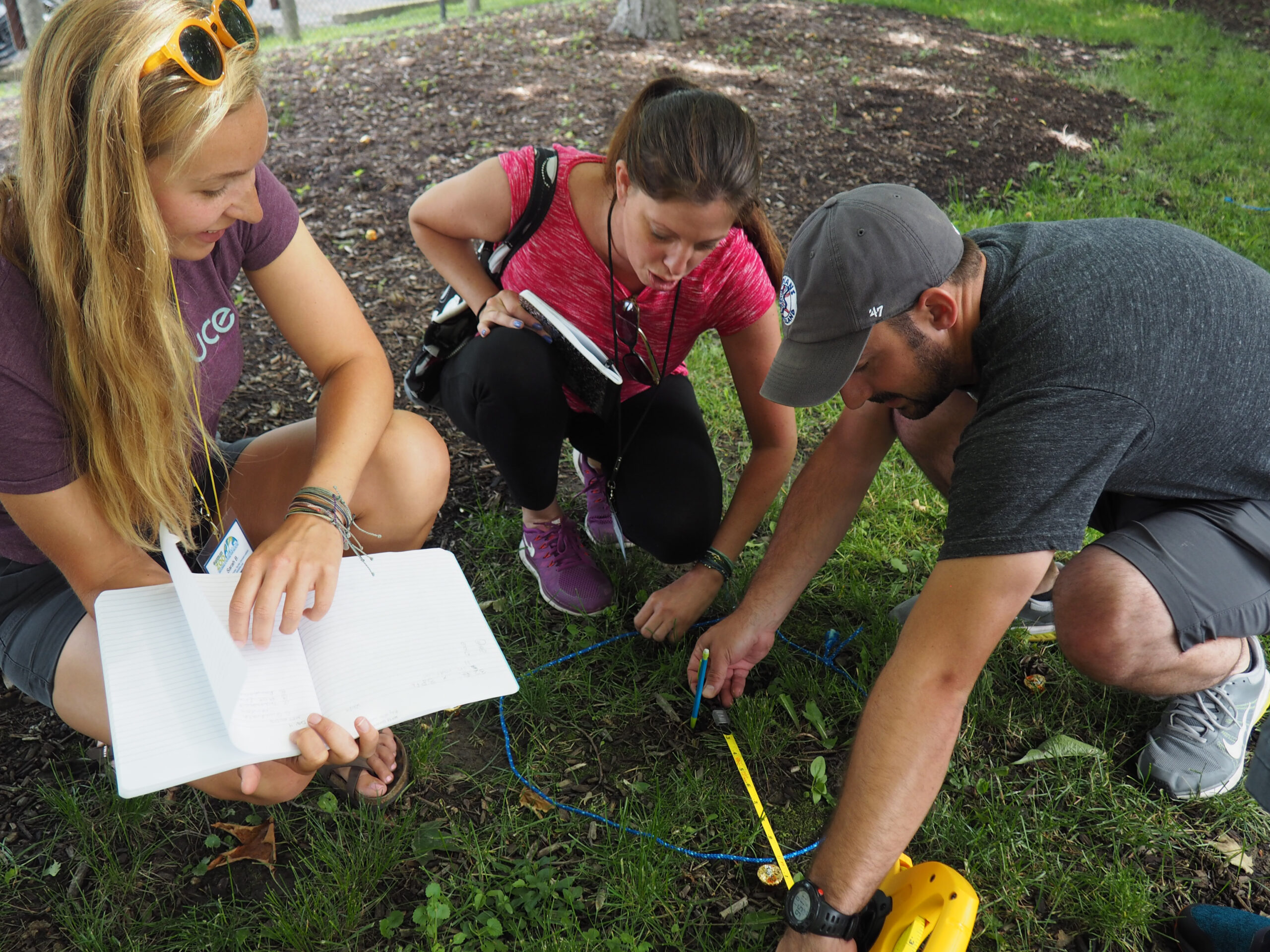 Dream Big: Students Can Earn a Master’s Degree Through Collaborative ...