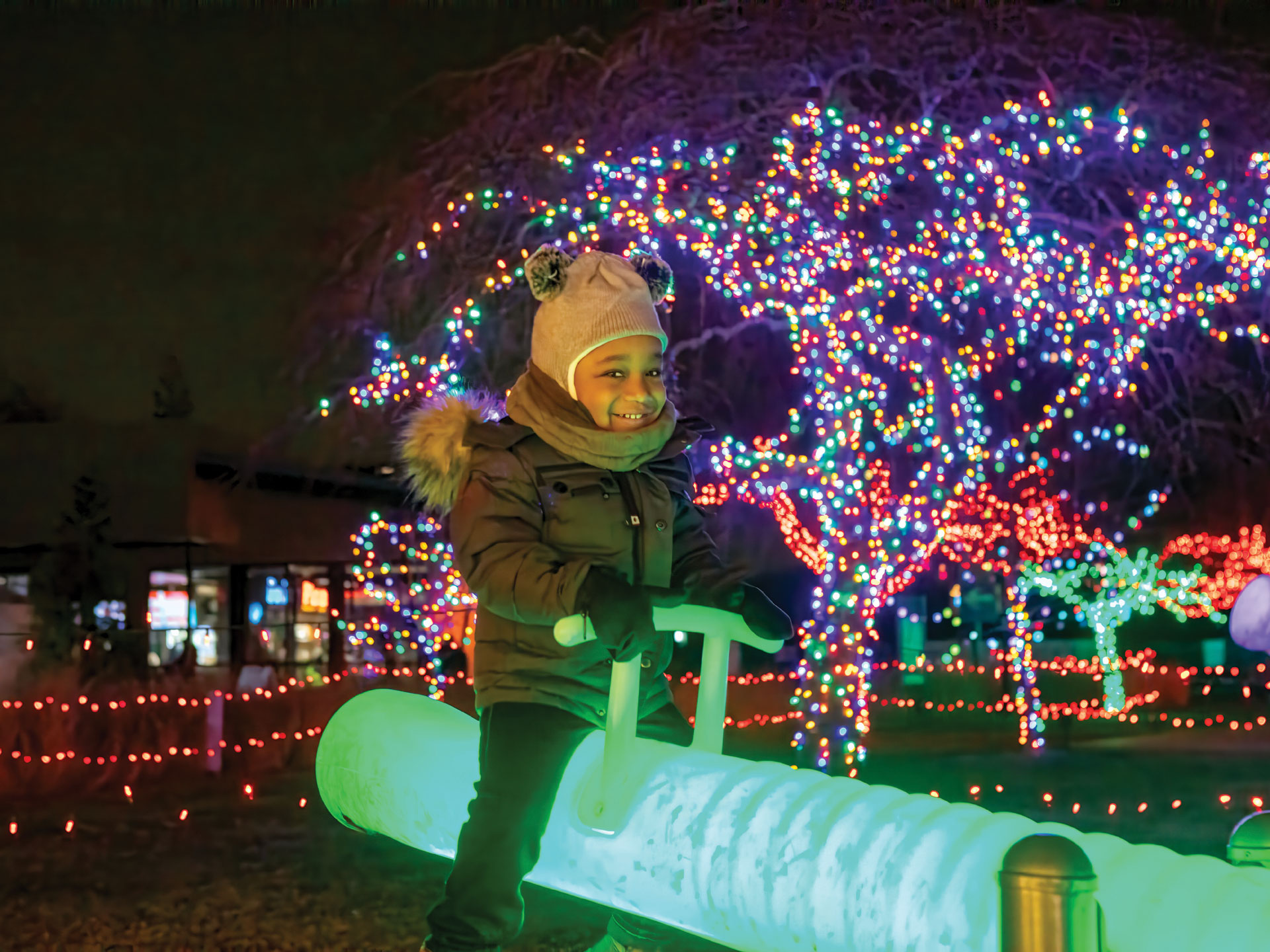 Light Up Your Night: Five Reasons to See Wild Lights Before it Ends Jan ...