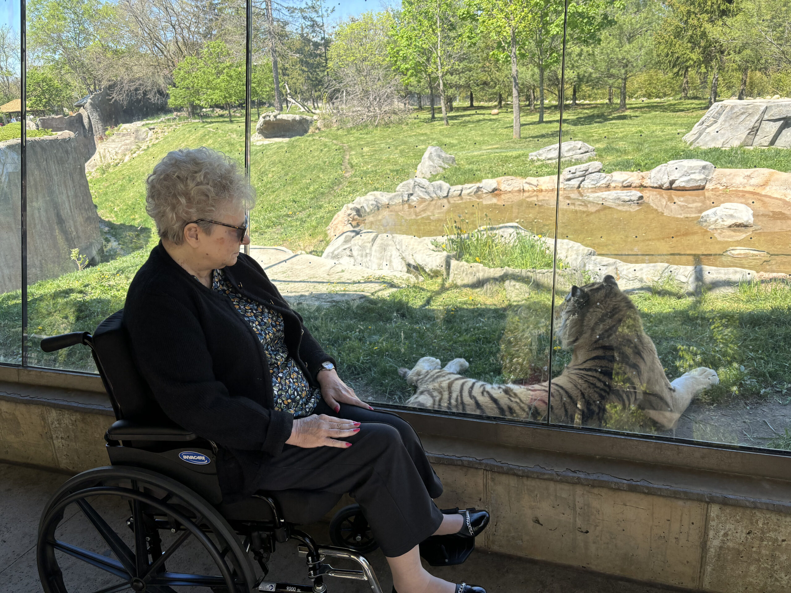 Remembering Leslie Devereaux: Longtime Zoo Supporter Left a Lasting ...