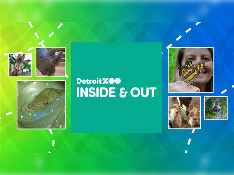 Detroit Zoo Inside & Out - Detroit Zoological Society